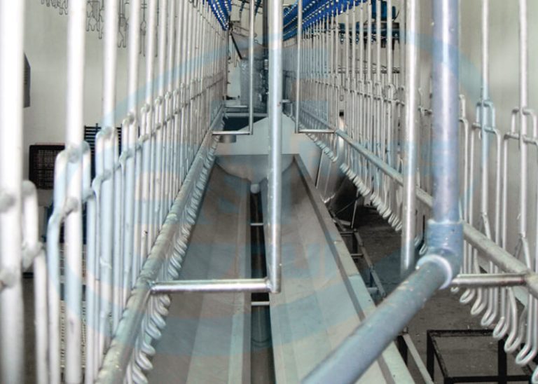 Manual Evisceration collector – Equifrigos